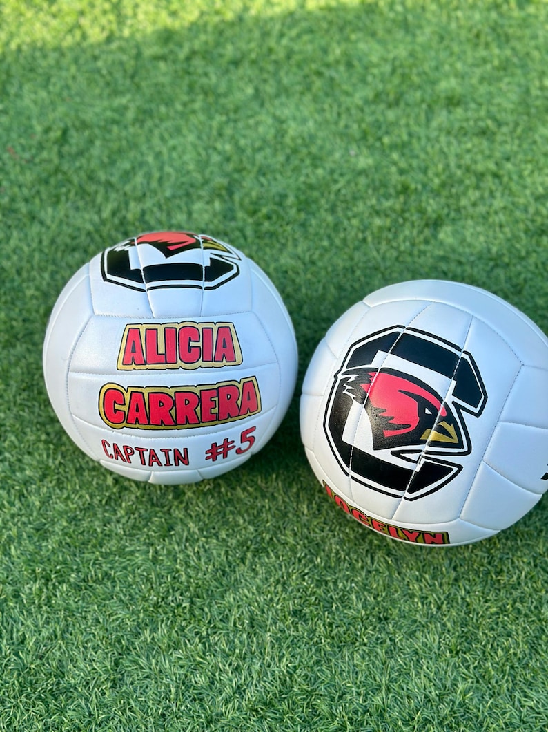 Custom Painted Volleyballs - Etsy