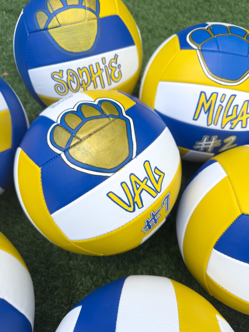 Custom Painted Volleyballs - Etsy