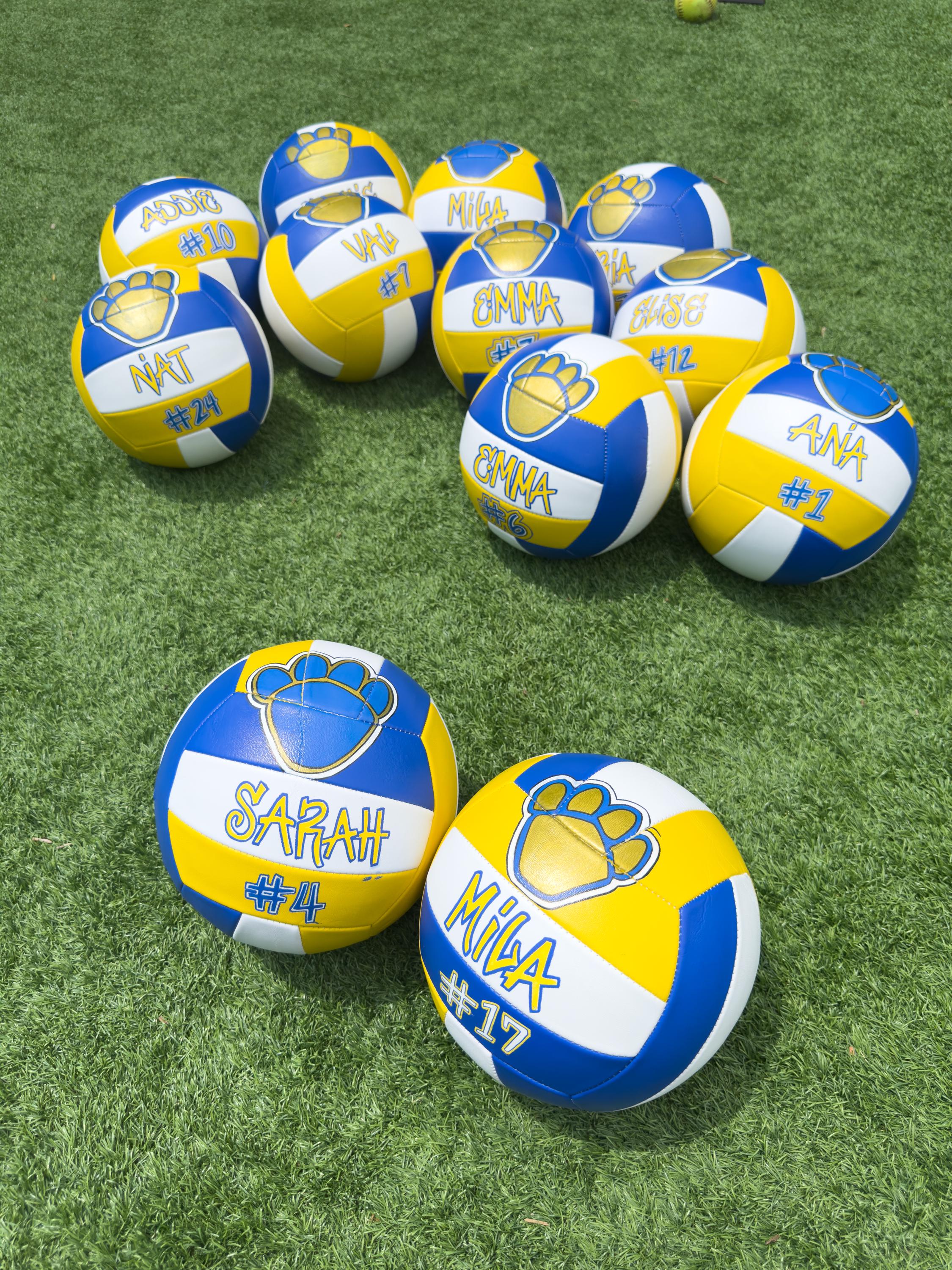 Custom Painted Volleyballs - Etsy