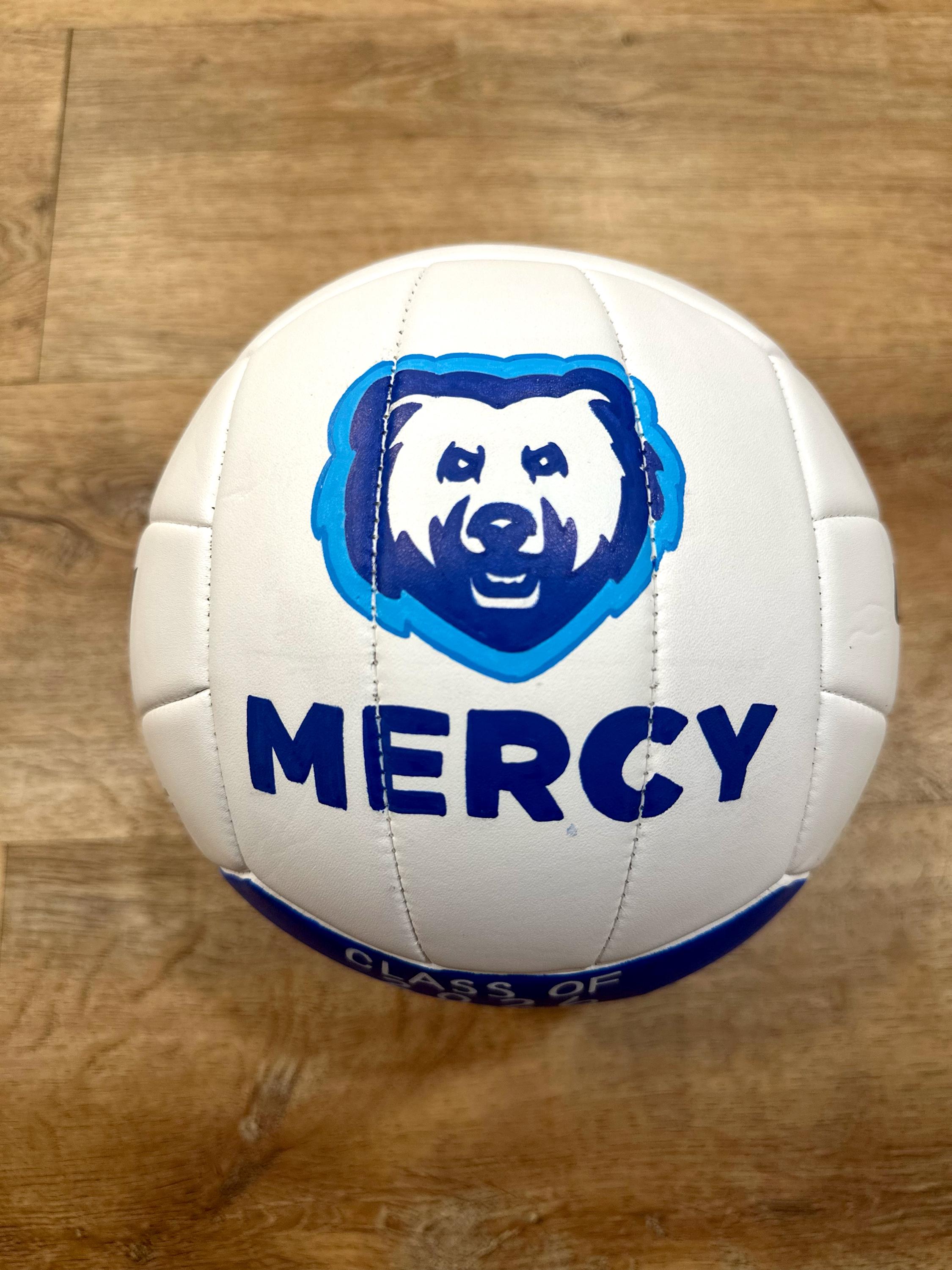 Custom Painted Volleyballs - Etsy