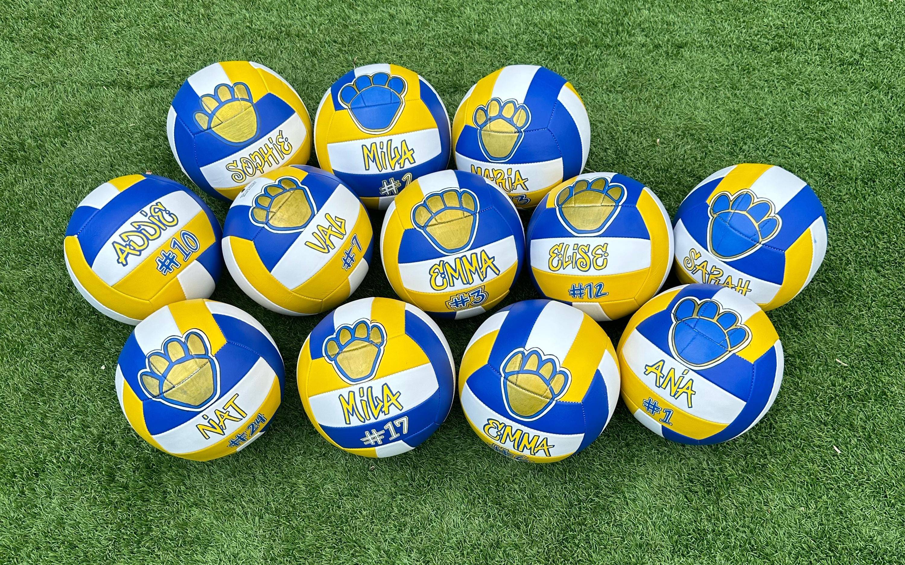Custom Painted Volleyballs - Etsy