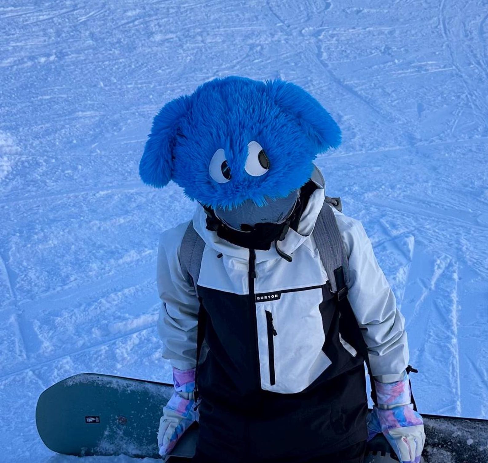 Ski & Snowboard Bike Helmet Cover Plush Fluffy Puppy, Uni Size, Helmet ...