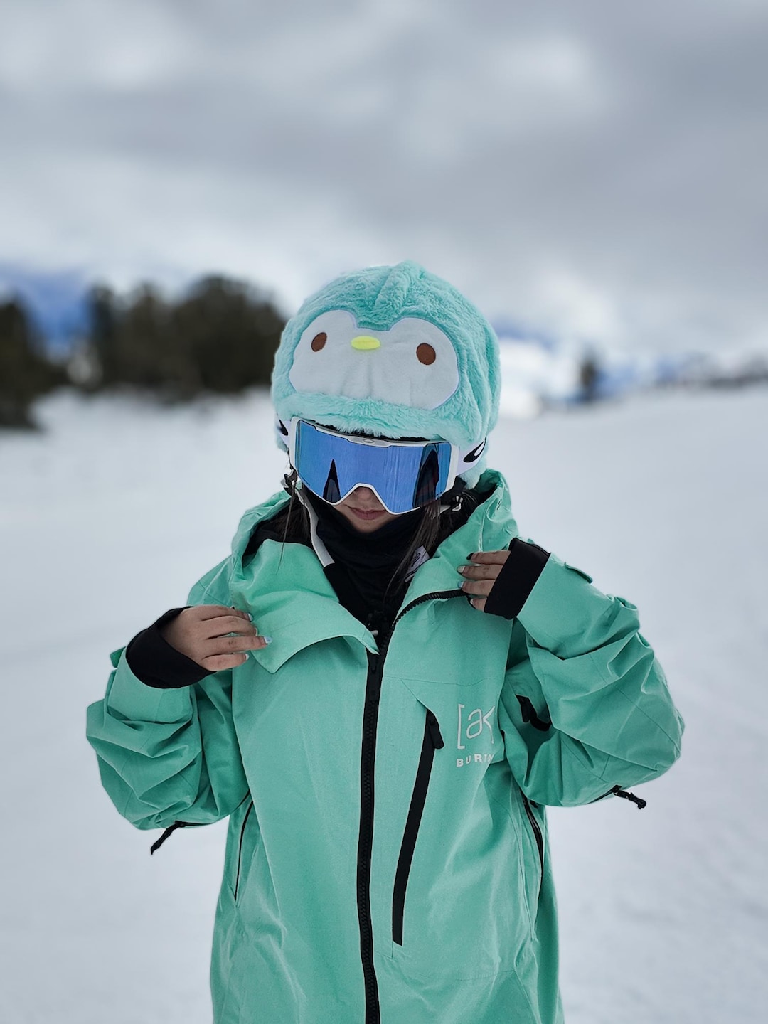 Ski & Snowboard Helmet Cover Plush Penguin, Bicycle Helmet Cover, Uni ...