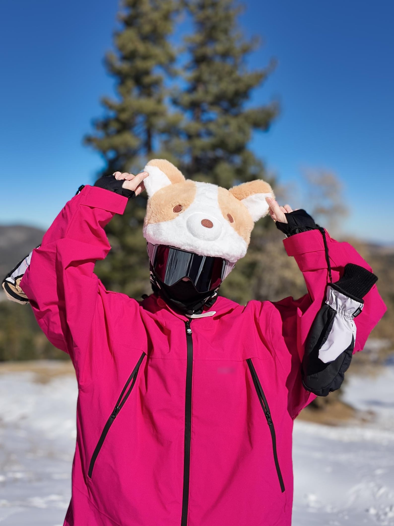 Ski & Snowboard and Bike Helmet Cover Plush Corgi Pet Dog, Uni Size ...