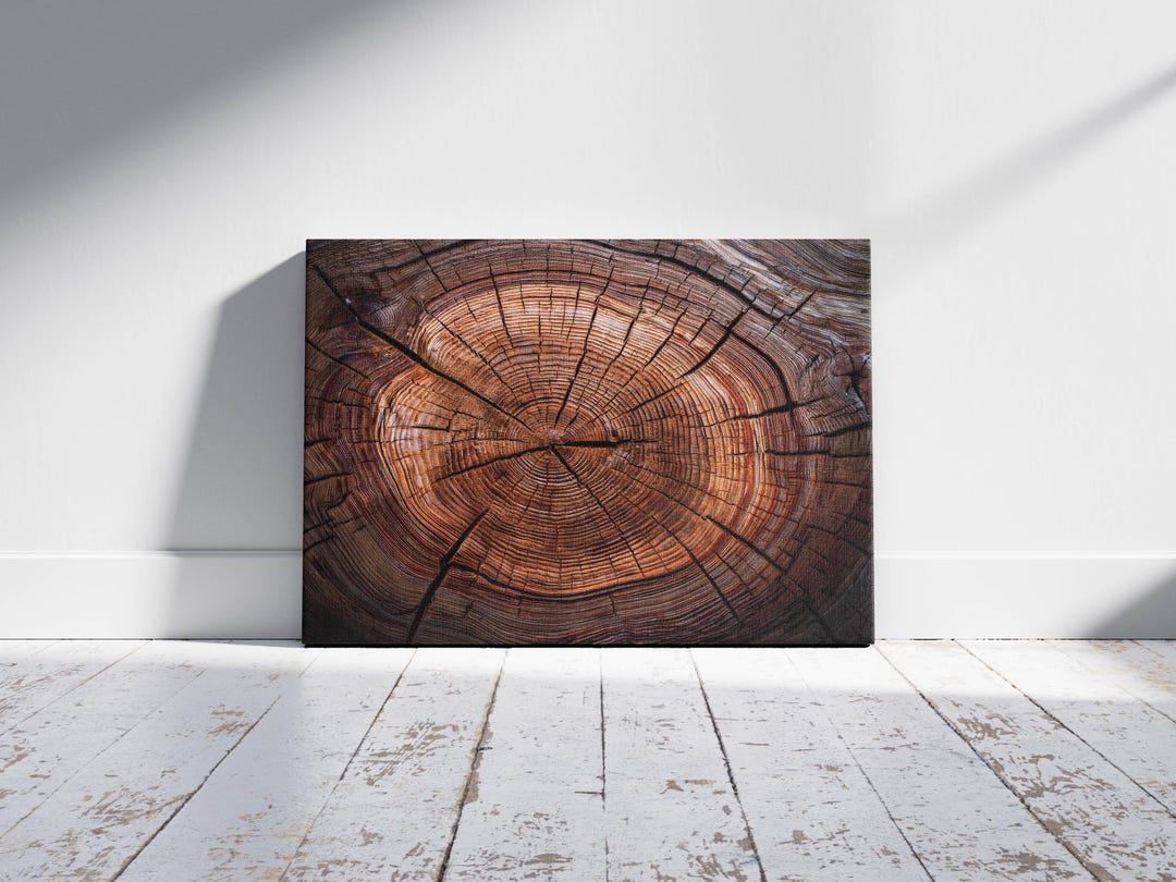 Timber Tales- Time Traveler's Tree - Etsy