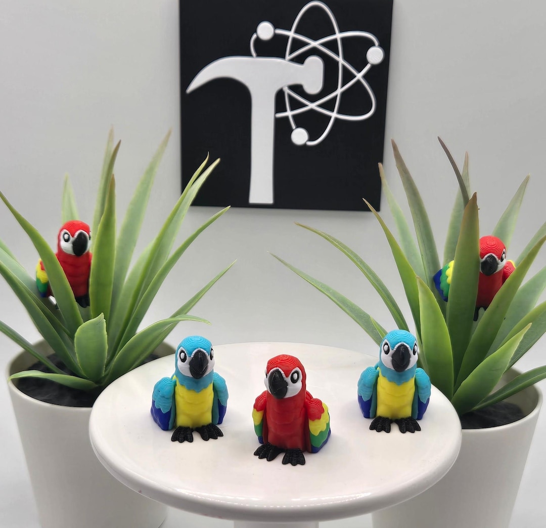 Parrot | Macaw | 3D Printed | Articulated Flexi Wiggle | ADHD Sensory ...