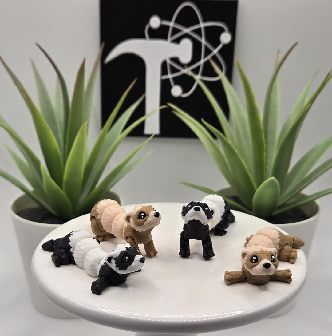 Ferret | 3D Printed | Articulated Flexi Wiggle | ADHD Sensory Aid ...