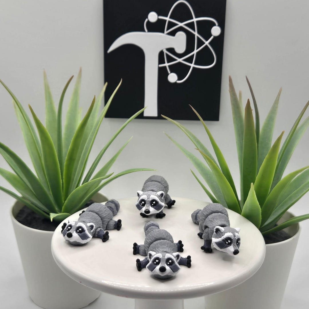 Raccoon | 3D Printed | Articulated Flexi Wiggle | ADHD Sensory Aid ...
