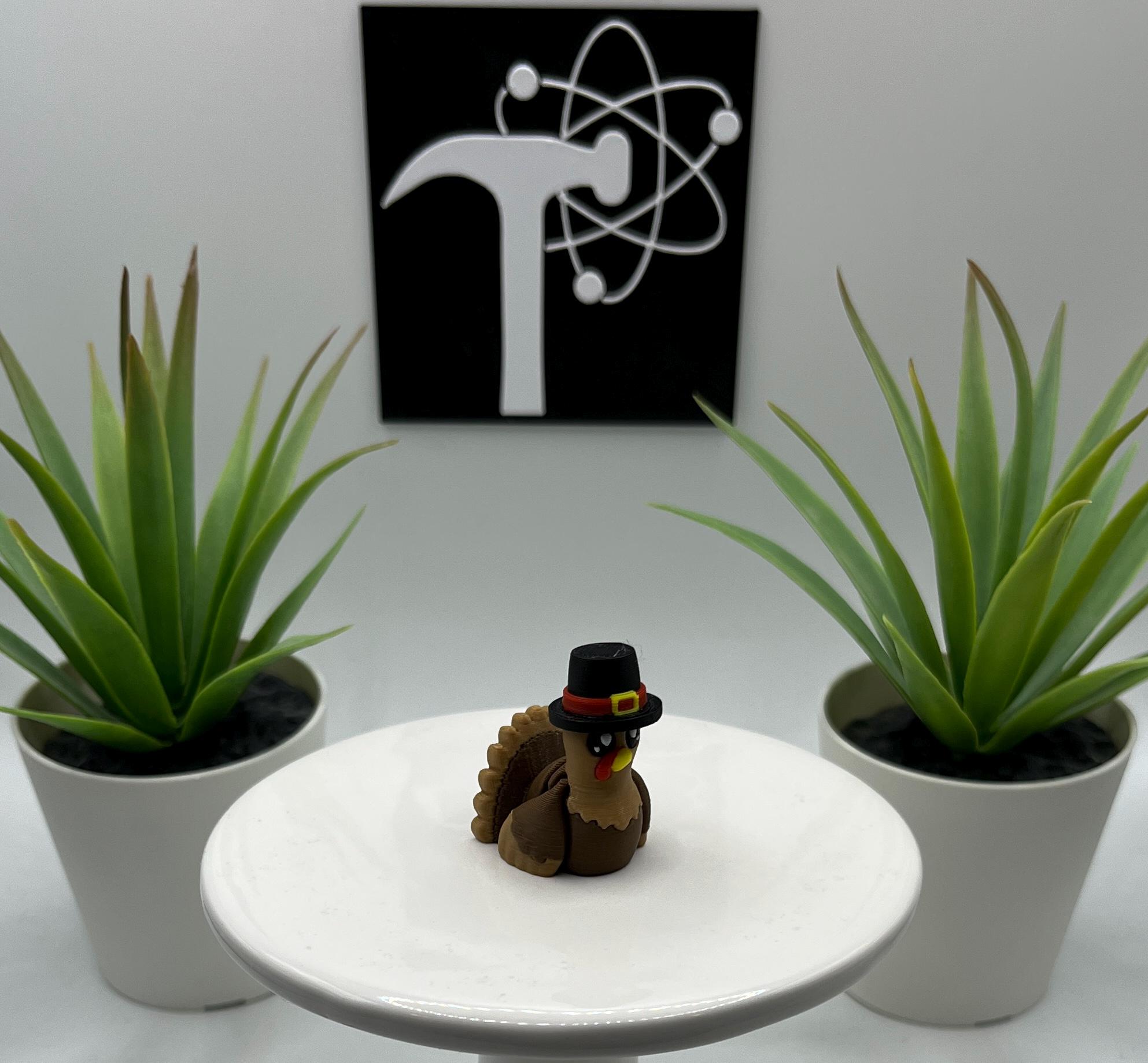 Turkey | 3D Printed | Thanksgiving Articulated Flexi Wiggle | ADHD ...