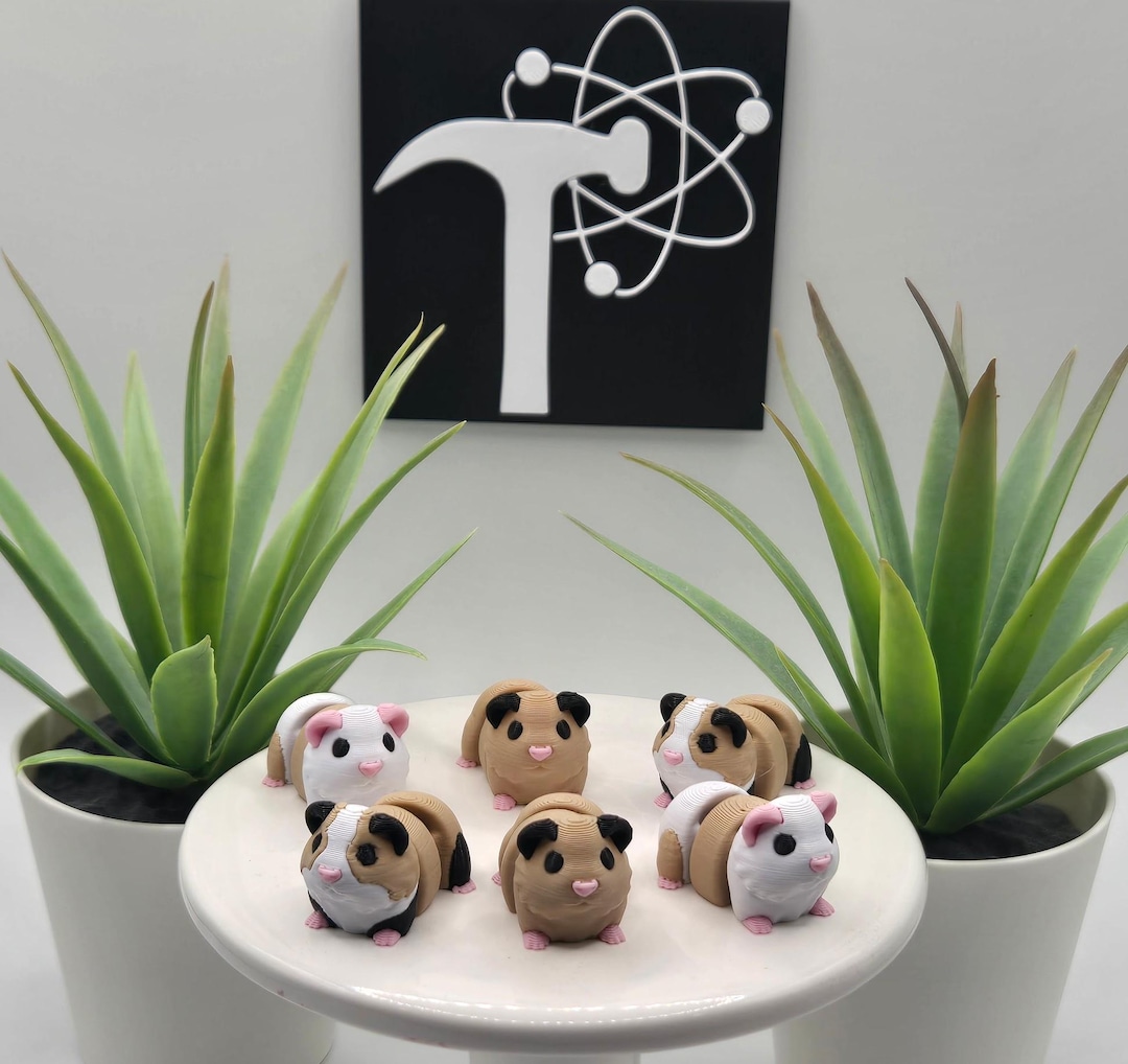 Guinea Pig | 3D Printed | Articulated Flexi Wiggle | ADHD Sensory Aid ...