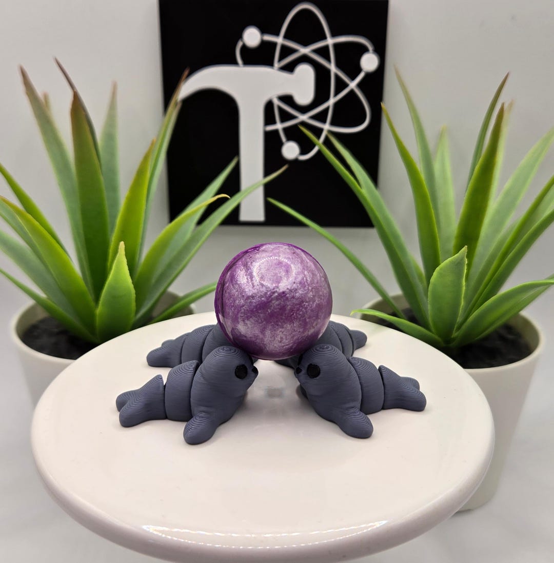 Seal | 3D Printed | Articulated Flexi Wiggle | ADHD Sensory Aid ...
