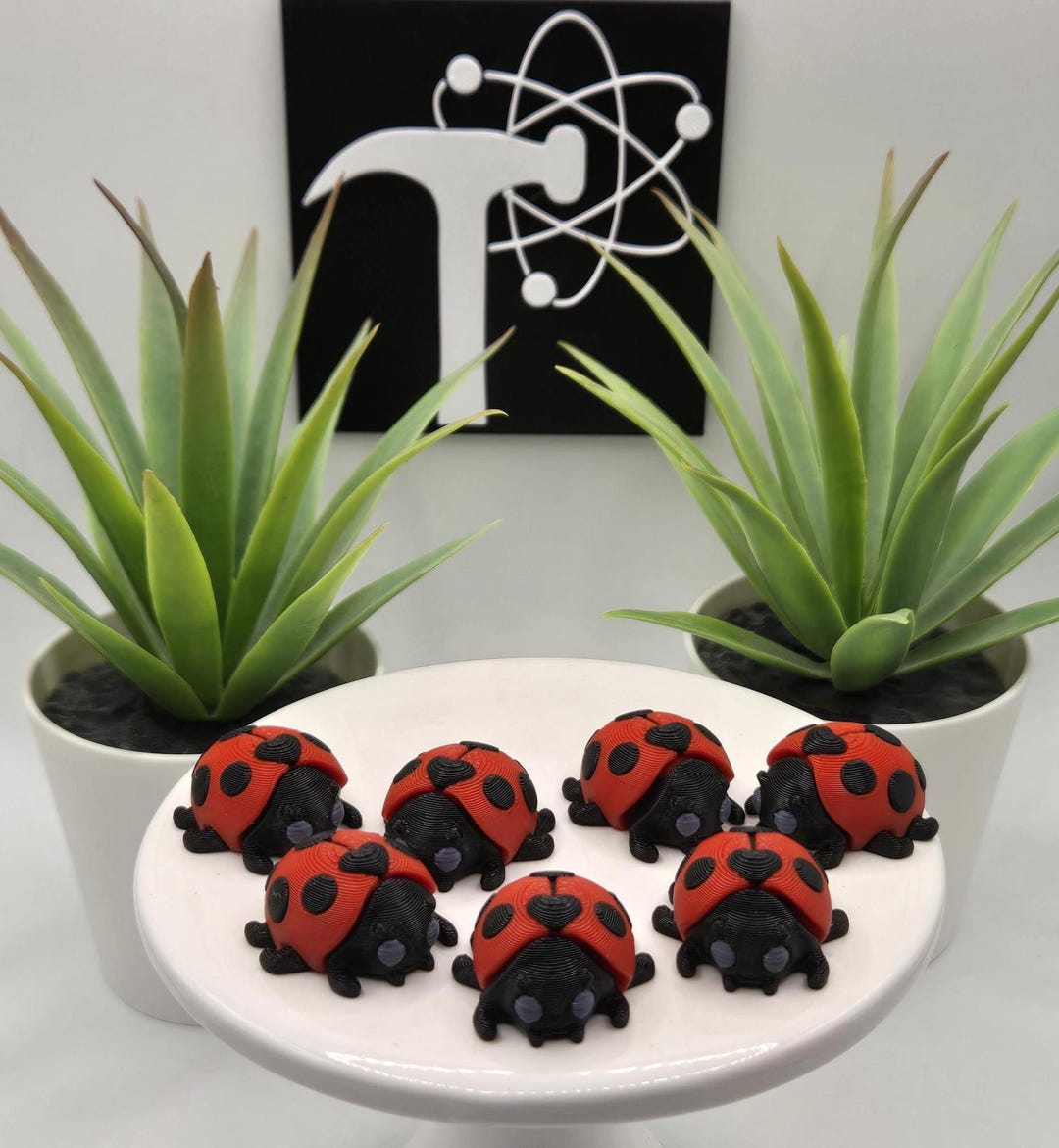 Ladybug | 3D Printed | Articulated Flexi Wiggle | ADHD Sensory Aid ...