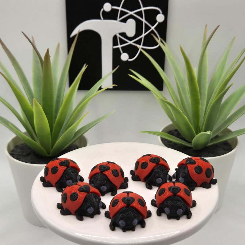 Fidget Ladybug Necklace - Etsy