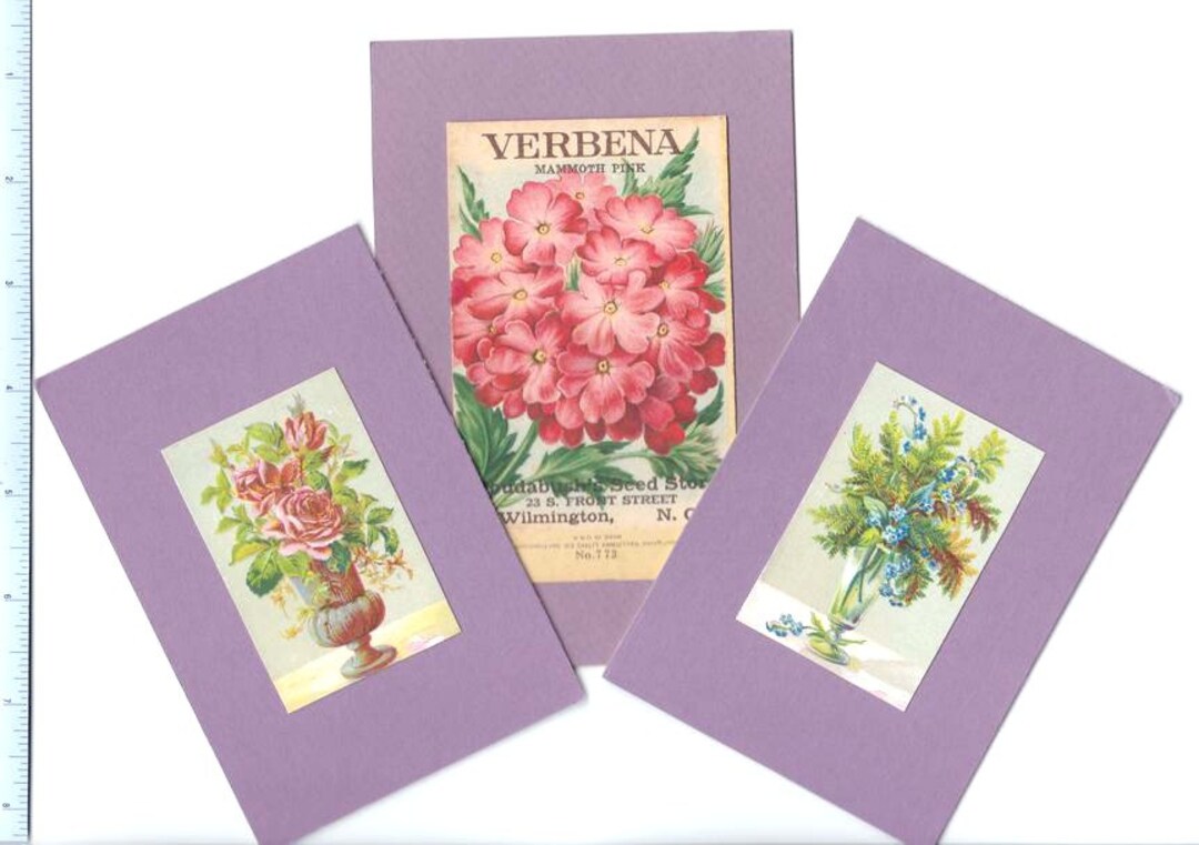 Antique Garden Flower Ephemera Seed Packet Lavender Matboard - Etsy