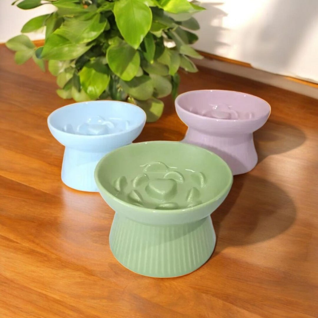 Pet Bowl, Elevate Cat Bowl, Raised Cat Dish, Kitten Bowl, Cat Slow Feed ...