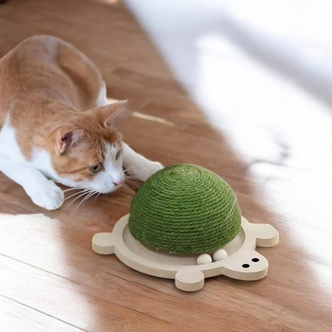 Cat Scratcher, Kitten Scratching Turtle, Cat Toy, Modern Scratcher ...