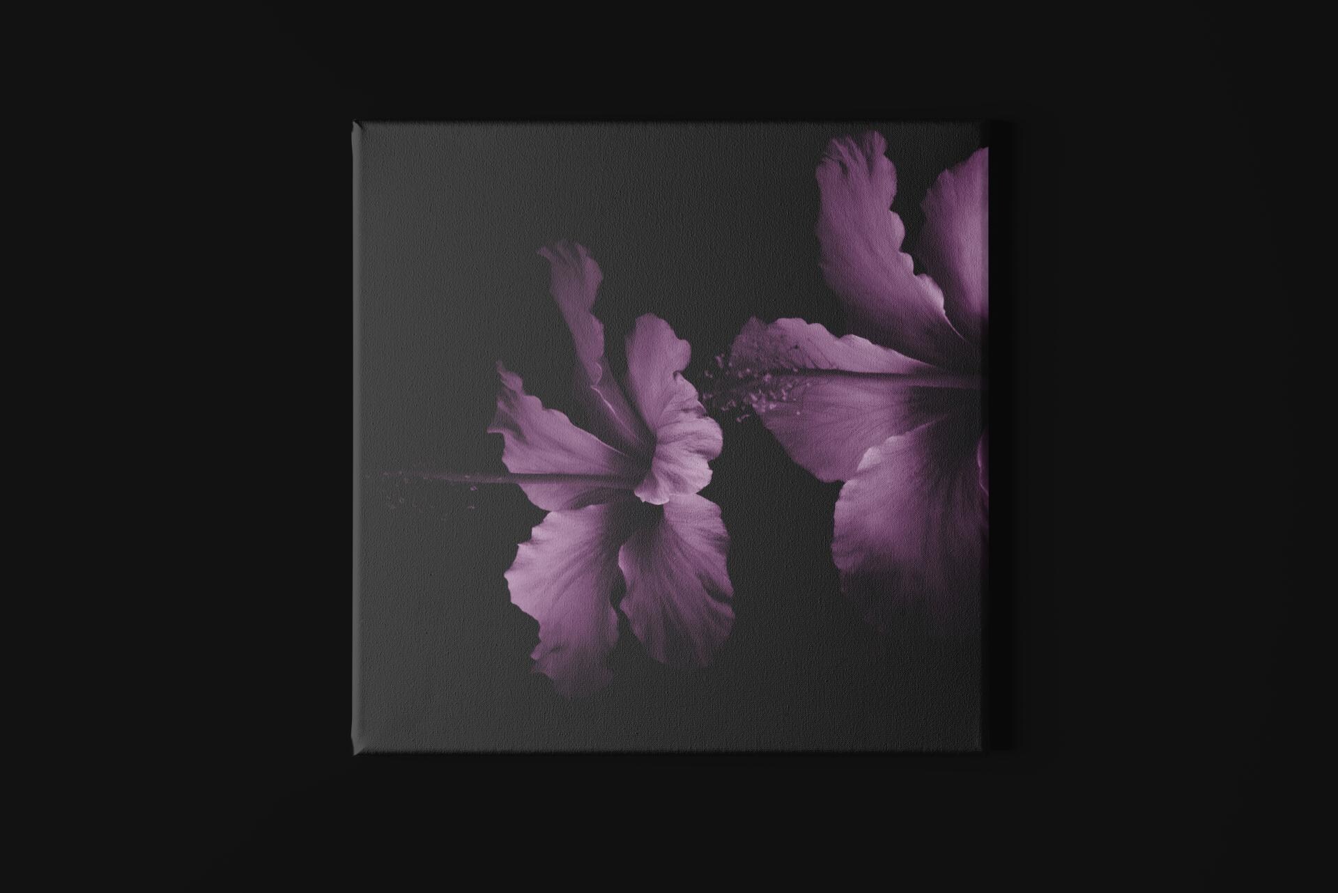 Purple Hibiscus — A Cinematic Floral Study - Etsy