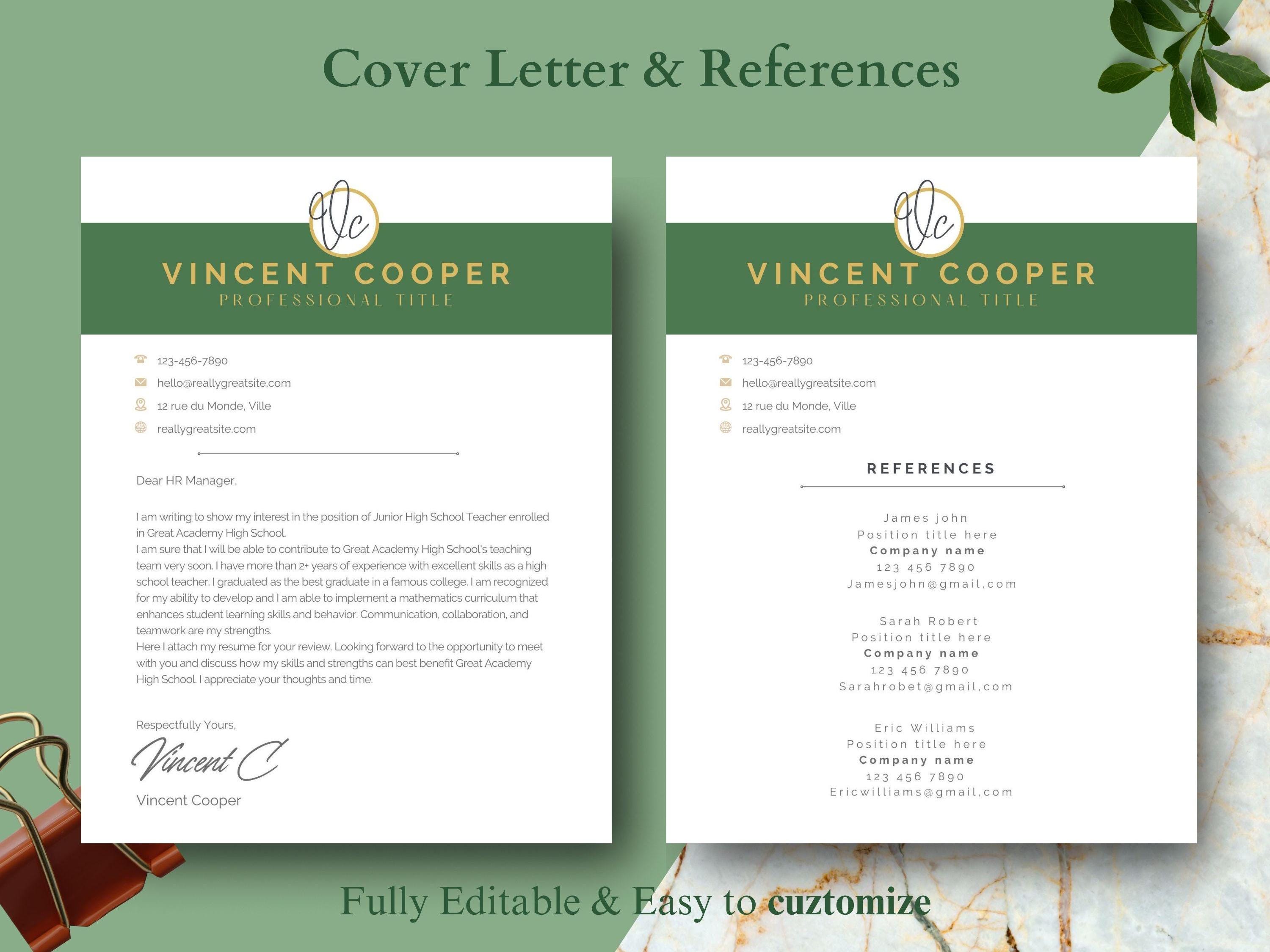 Luxury Resume Template Classy CV Attractive Resume Template Minimalist ...