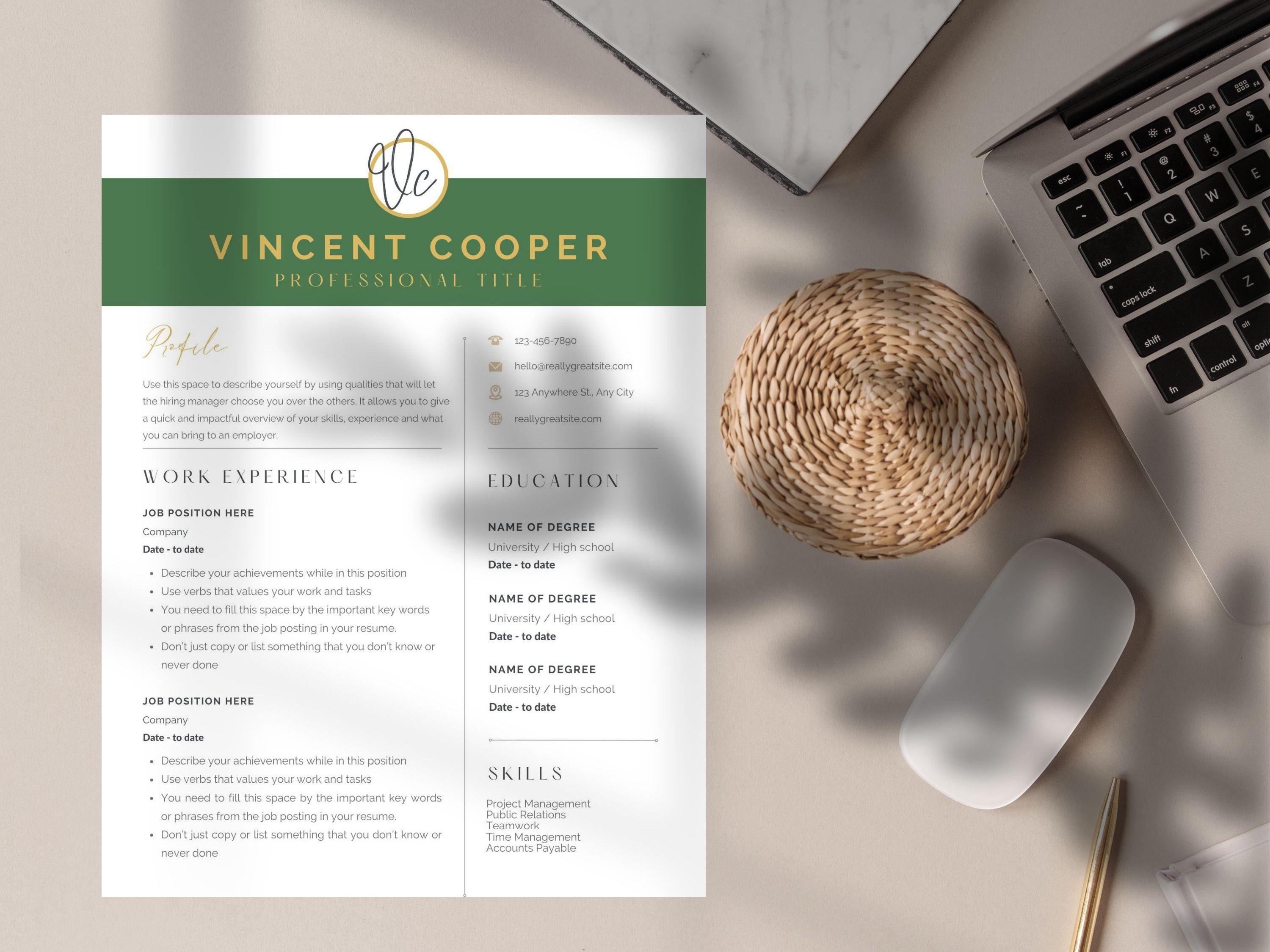 Luxury Resume Template Classy CV Attractive Resume Template Minimalist ...