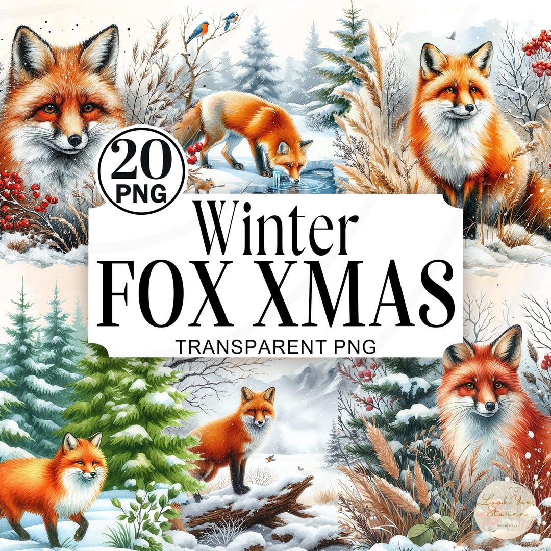 20 Watercolor Winter Fox Clipart, Christmas Fox Png Bundle, Christmas ...