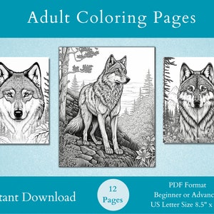 12 Unique Wolf Coloring Pages | Adult and Kids Coloring Pages | Hours ...