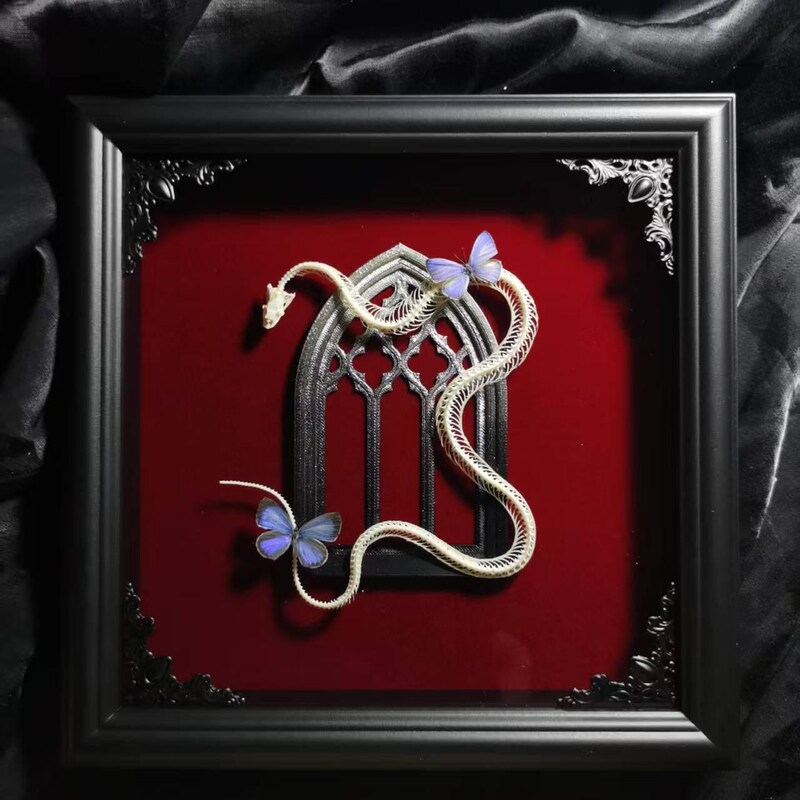 Butterfly Skeleton - Etsy