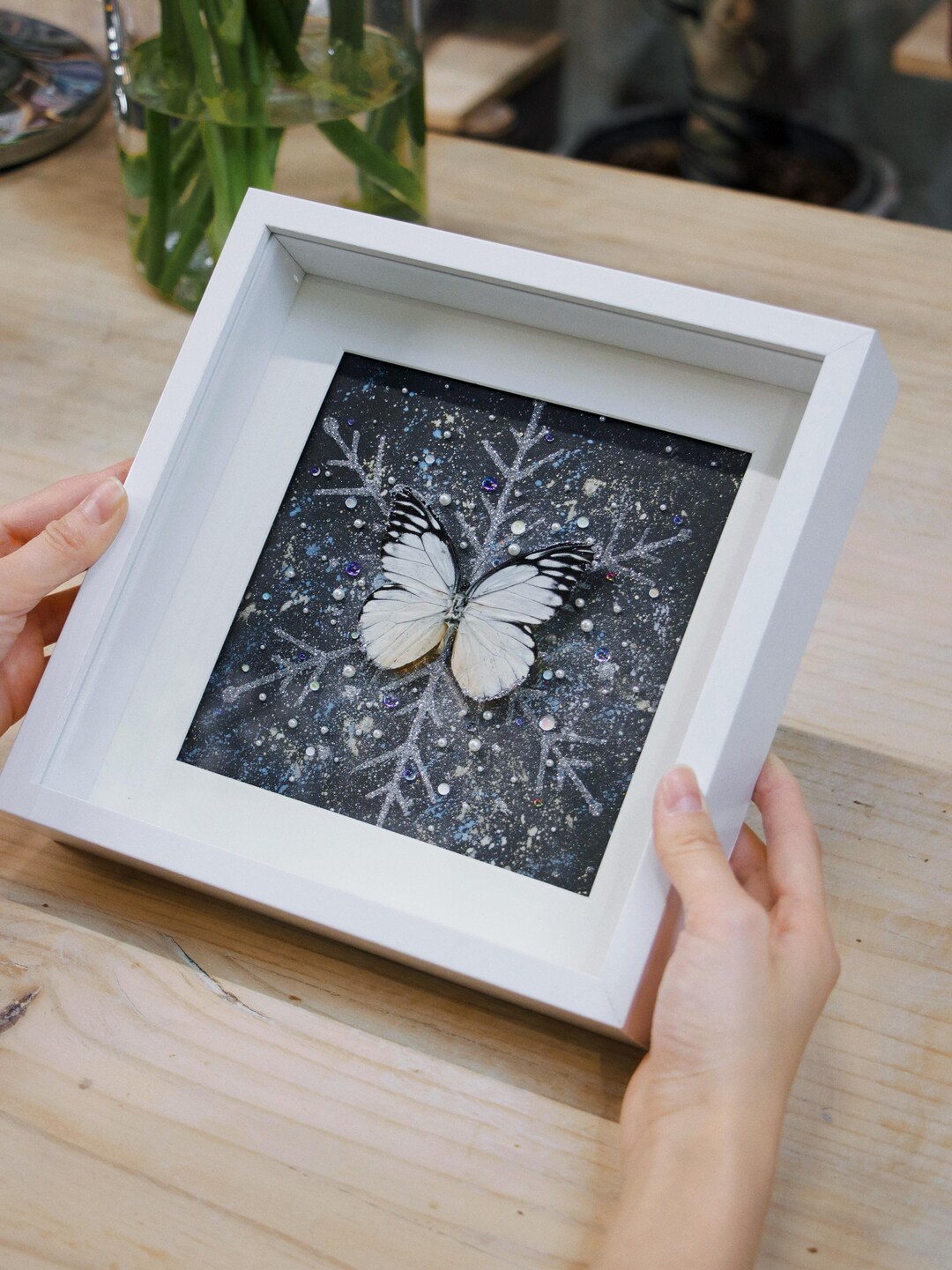 Real Framed Butterfly, Insect Shadow Box, Insect Specimen Gift, Wall ...