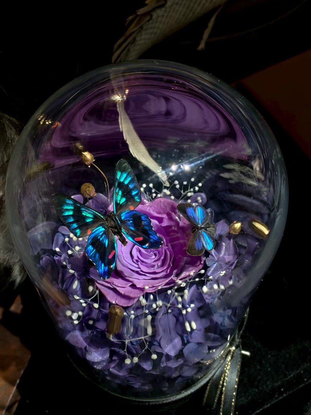 Enchanted Butterfly Glass Dome: Eternal Rose, Music Box & LED Lights - Etsy