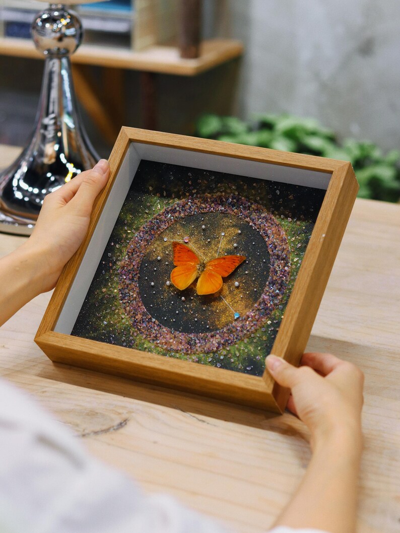 Real Framed Butterfly, Insect Shadow Box, Real Butterfly Specimen ...