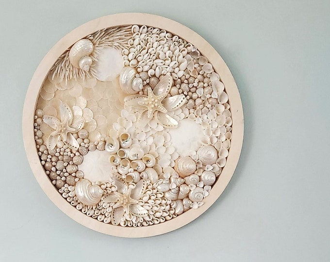 Seashell Wall Art, Beach Decor Coastal Decor Ivory Seashell Wall ...