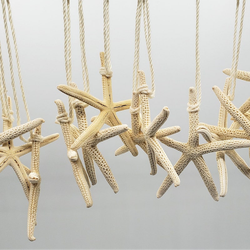 Starfish Decorations - Etsy