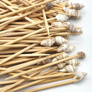 Seashell Cocktail Toothpicks, 100 PC Real Shell Appetizer Tooth Picks ...