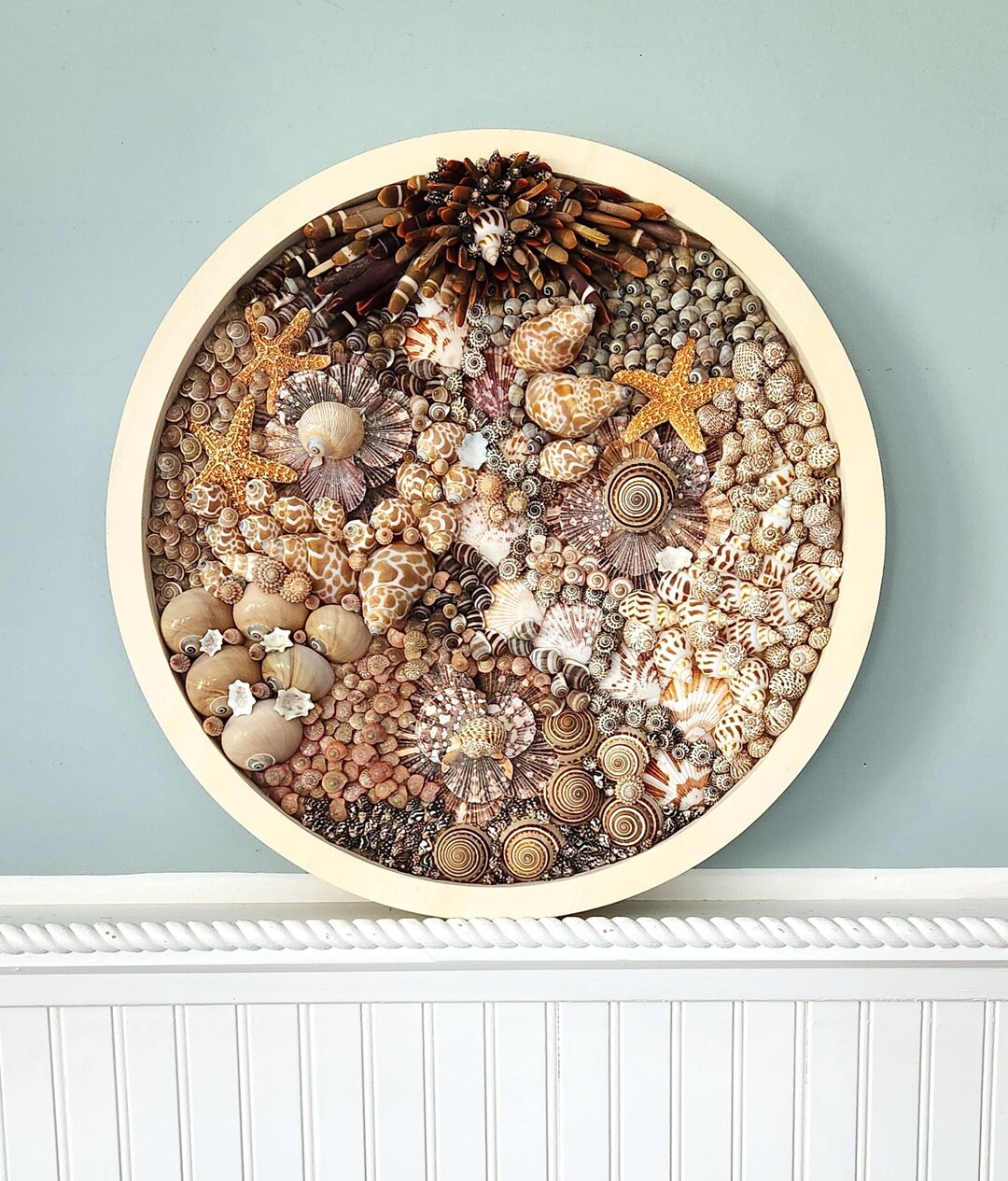 Seashell Wall Art, Beach Decor Coastal Decor Seashell Wall Hanging ...