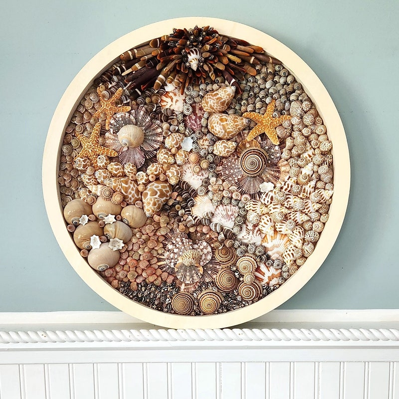 Seashell Wall Art - Etsy