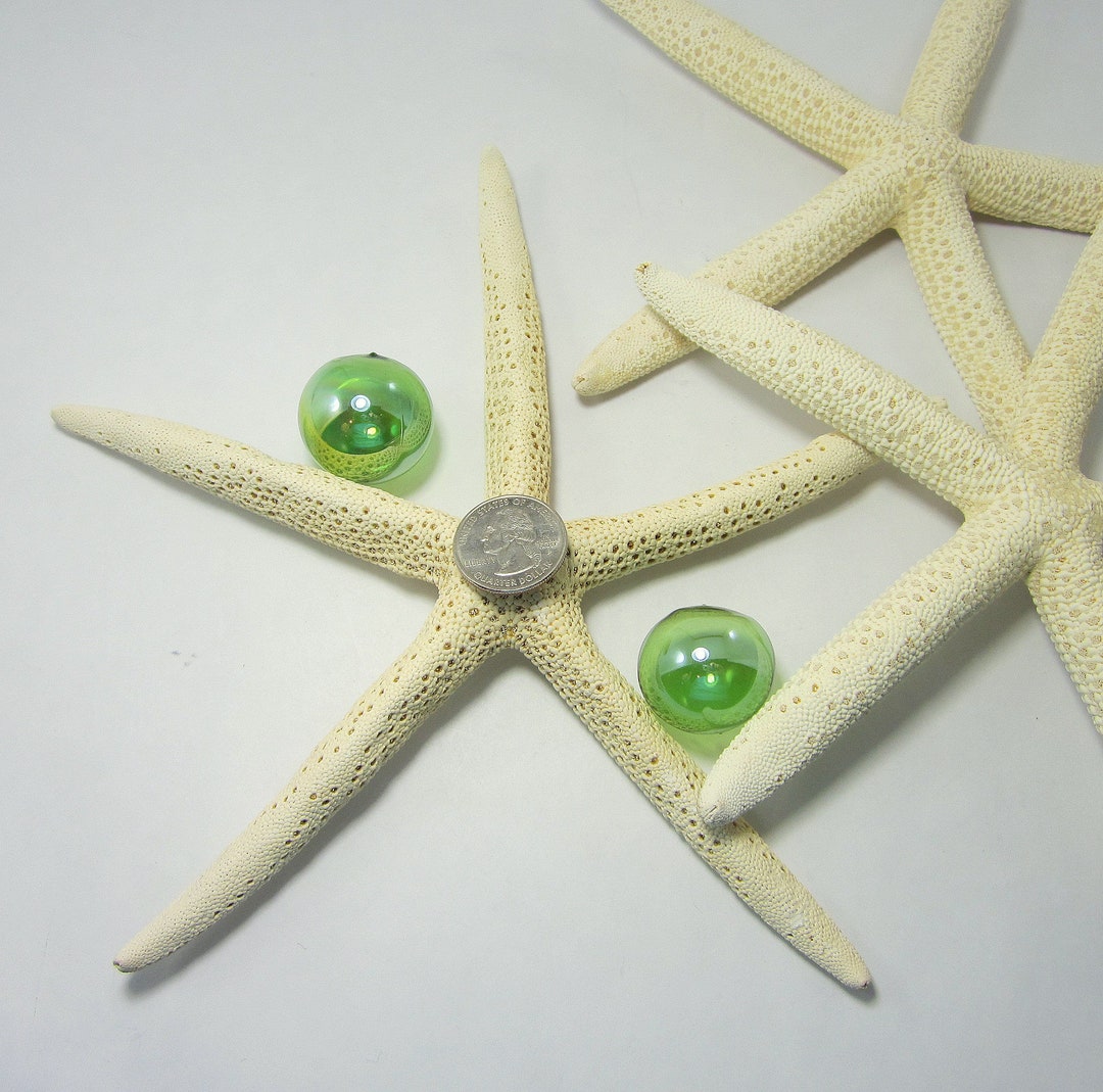 7PC Extra Large White Starfish, 7PC 8-10" Nautical Decor GIANT White ...