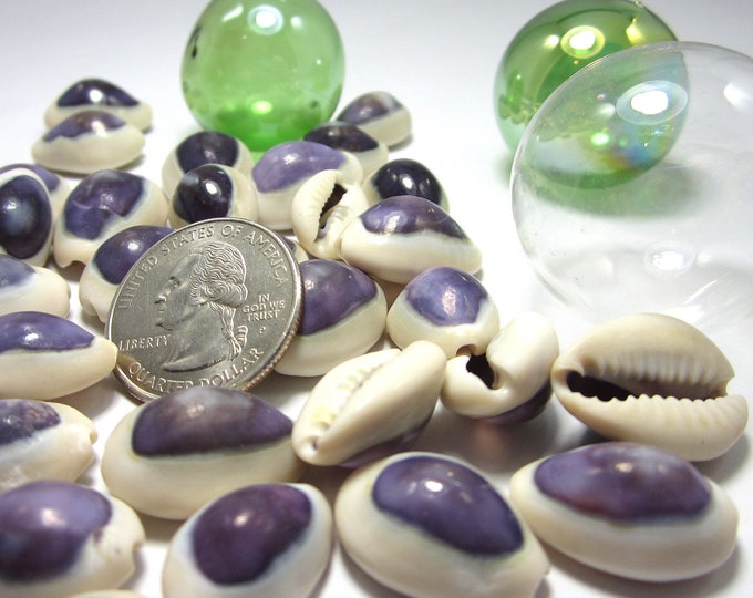 Boho Shell Bracelet - Etsy