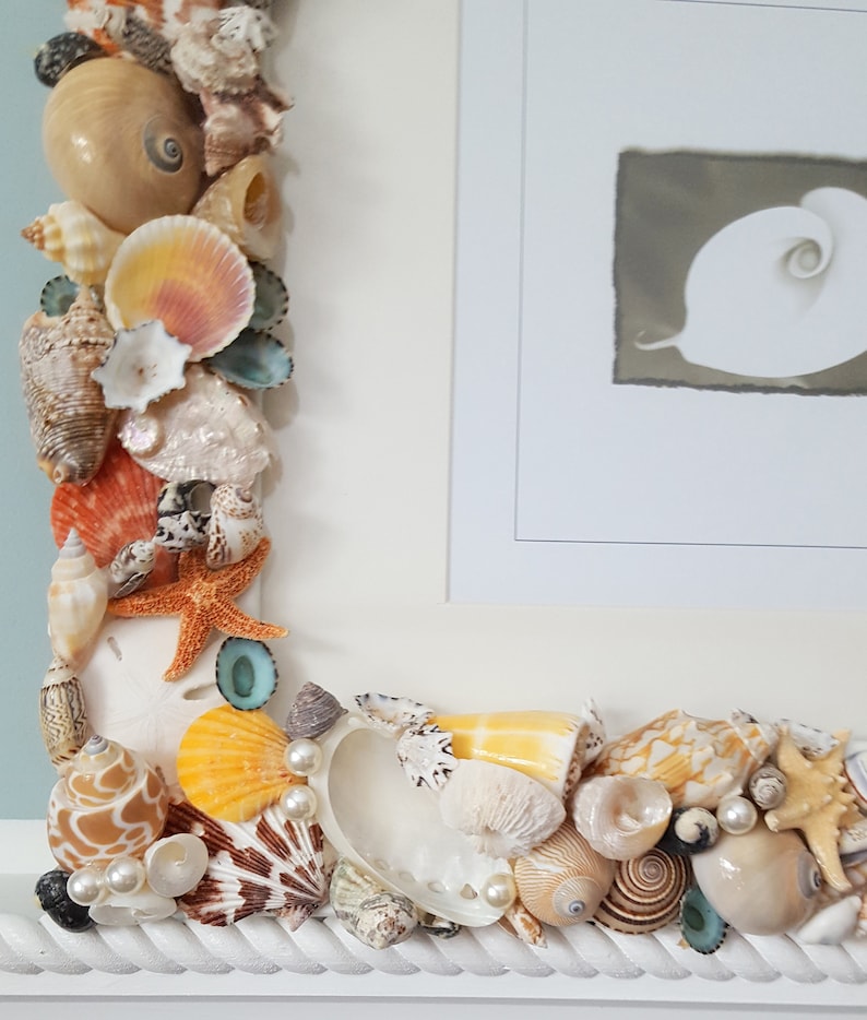 Seashell Picture Frame Nautical Coastal Beach Decor Colored | Etsy