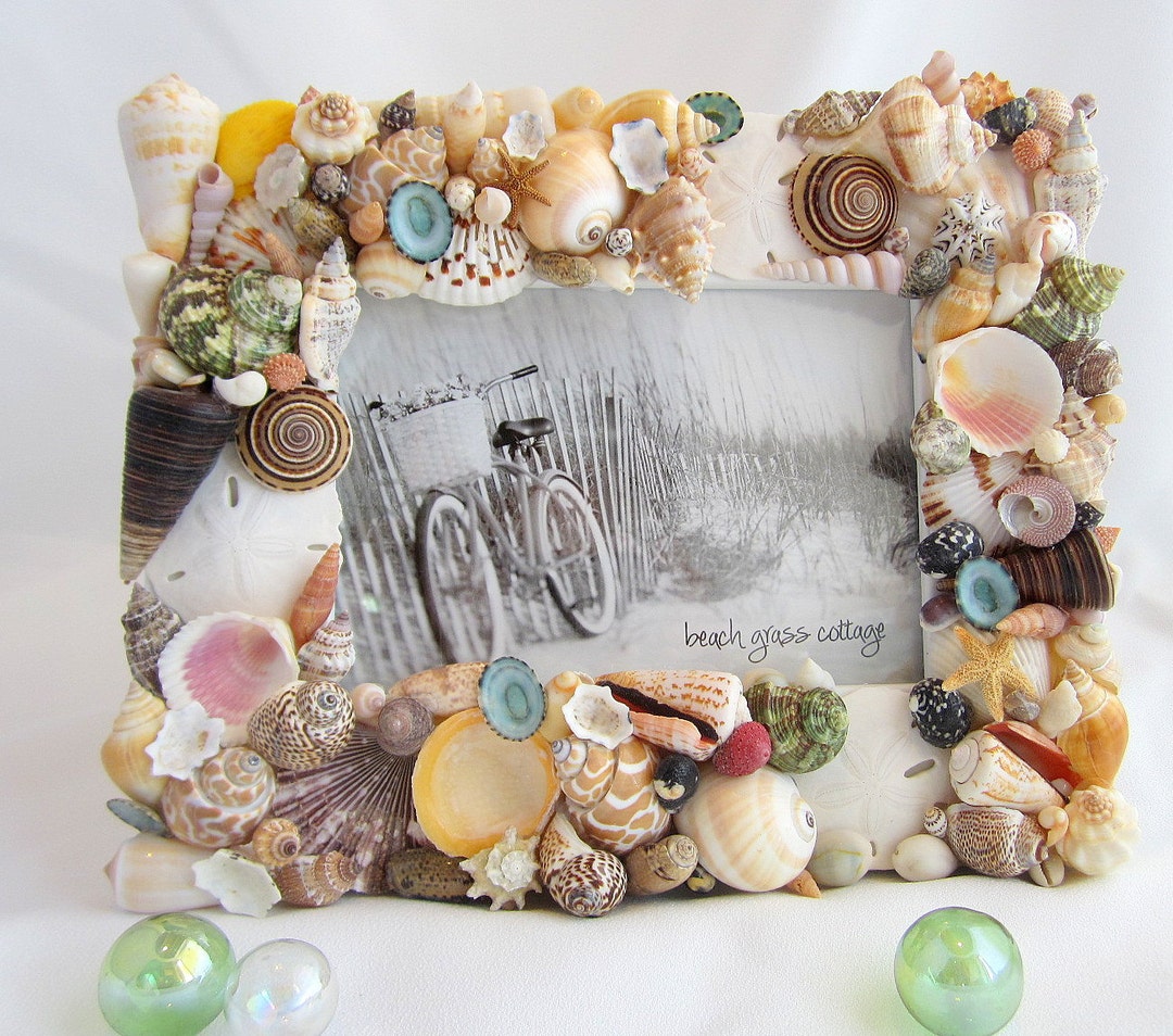 Seashell Picture Frame, Nautical Coastal Beach Decor Colored Seashell ...