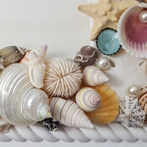 Seashell Picture Frame, Nautical Coastal Beach Decor Colored Seashell ...