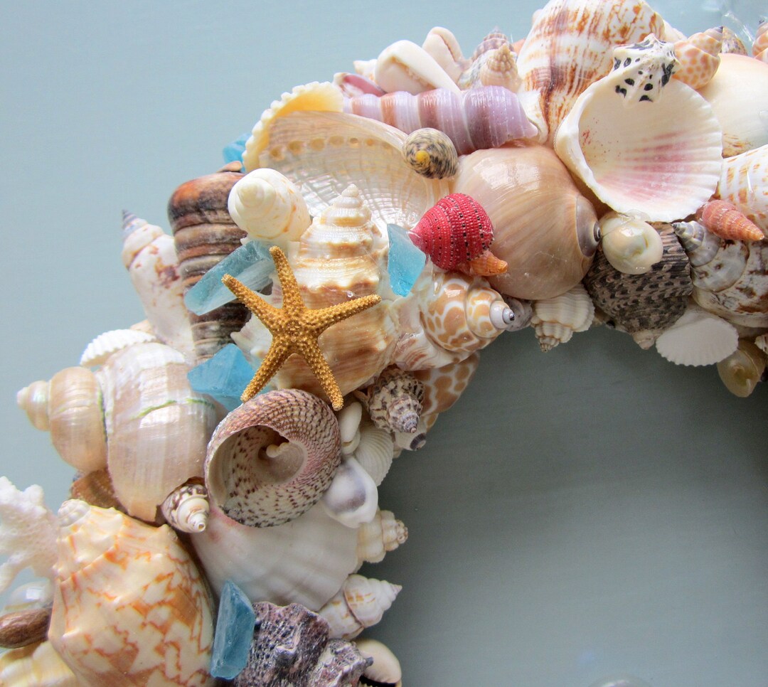 Nautical Decor Seashell Wreath Beach Decor Shell Wreath - Etsy