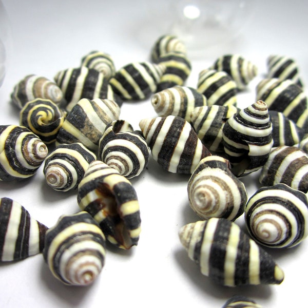 Beehive Decor - Etsy