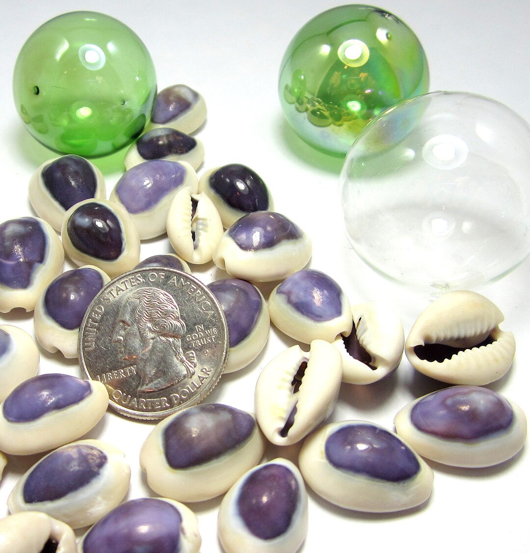 100-150PC Purple Cowrie Shells: Lavender Craft Seashells for Coastal ...