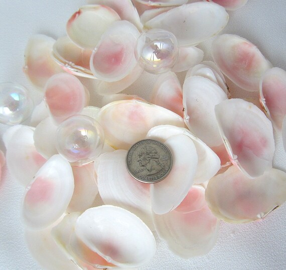 Paper, Party & Kids Pink Beach Wedding Seashells 48PC Bulk Pink ...