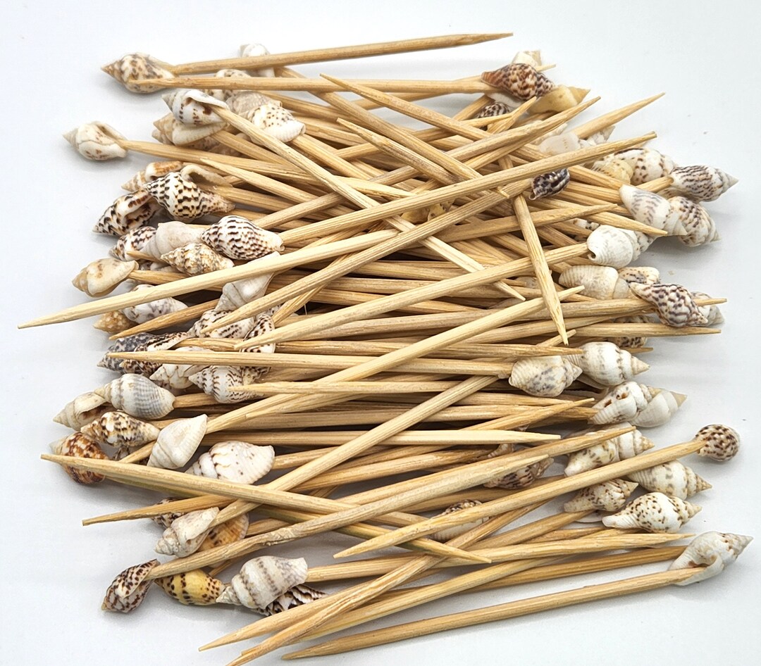 Seashell Cocktail Toothpicks, 100 PC Real Shell Appetizer Tooth Picks ...