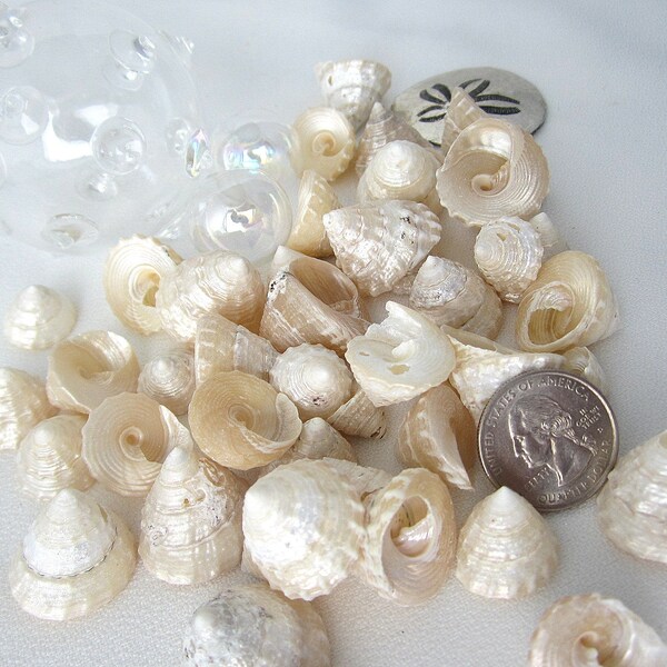 Wedding Pearl Decor - Etsy