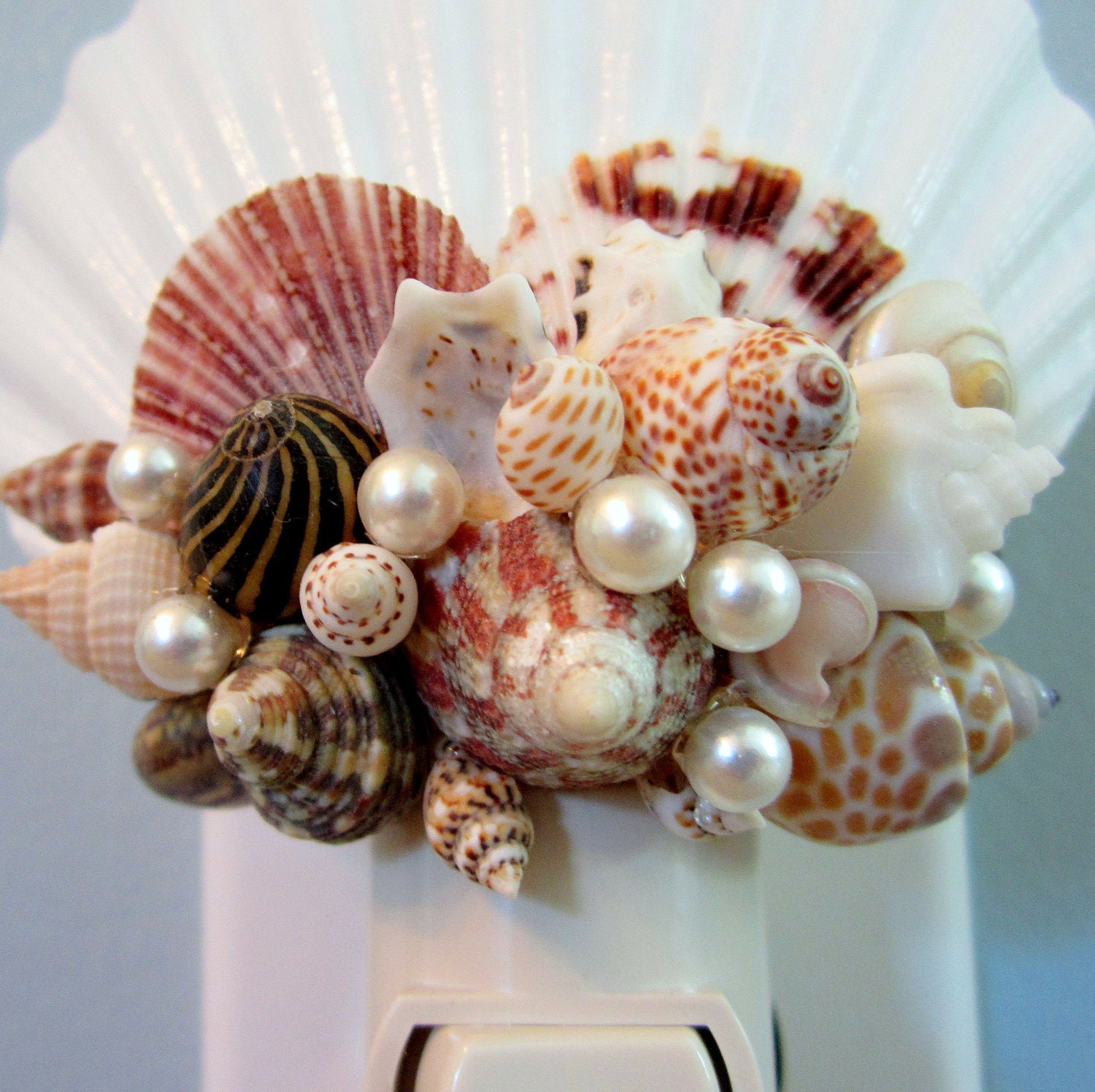 Beach Decor Seashell Night Light Nautical Decor Shell Night - Etsy