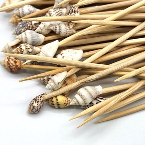 Seashell Cocktail Toothpicks, 100 PC Real Shell Appetizer Tooth Picks ...
