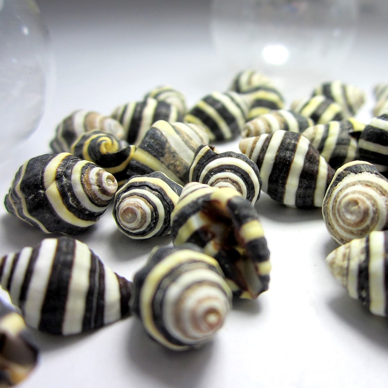 Beehive Decor - Etsy