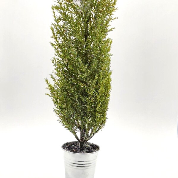 Tabletop Christmas Tree - Etsy