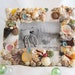 Seashell Picture Frame Nautical Coastal Beach Decor Colored - Etsy